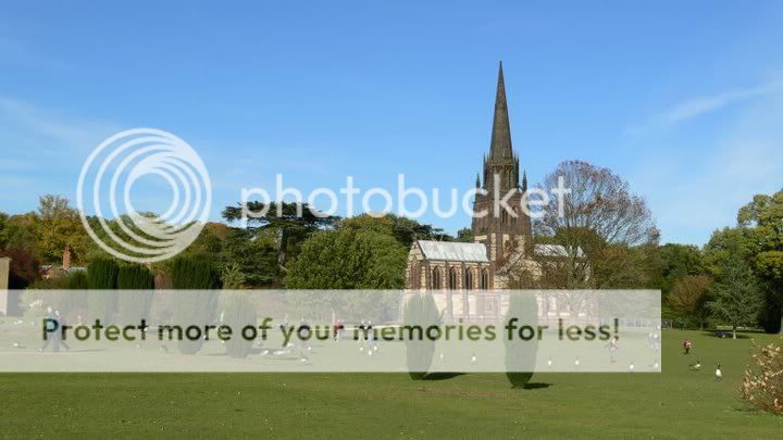 Travels to Come | Two Ginger Cats