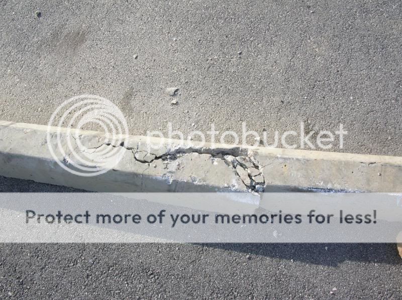 Beware of Crubs!!! | VW Vortex - Volkswagen Forum