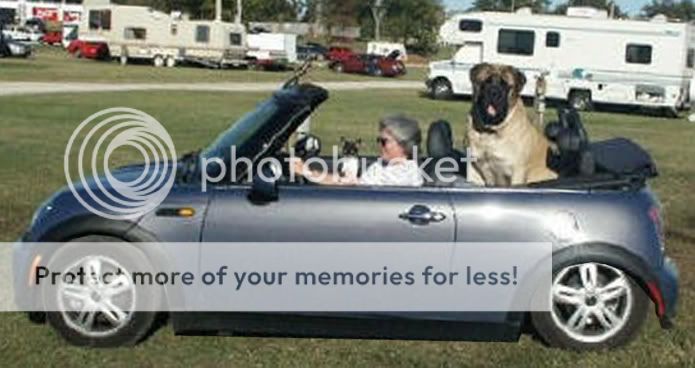 Z06 Jumped in on the Red One! - Page 3 - CorvetteForum - Chevrolet ...