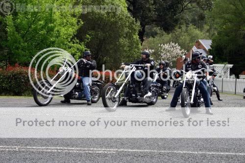 Harleys-2.. - Choppers Australia