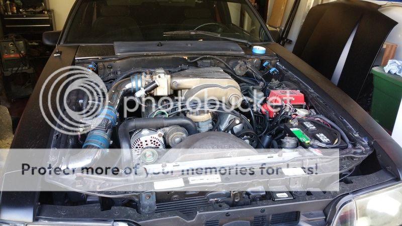 91 notch turbo build | Ford Mustang Forums