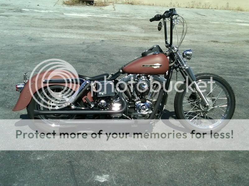 Not easy making a Dyna look cool, here's my attempt | Jockey Journal Forum