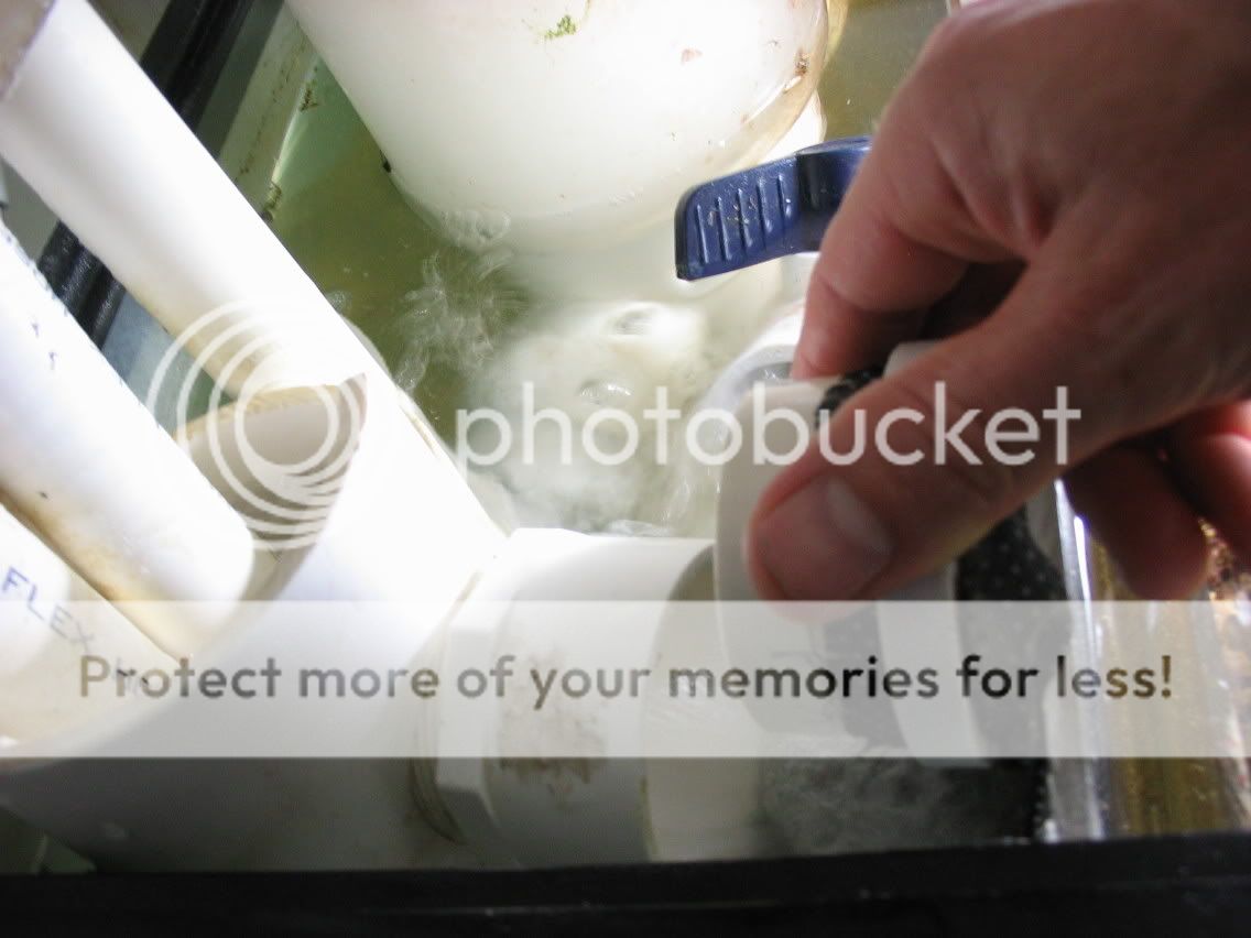 how to get rid of micro bubbles from sump | Reef Central Online Community