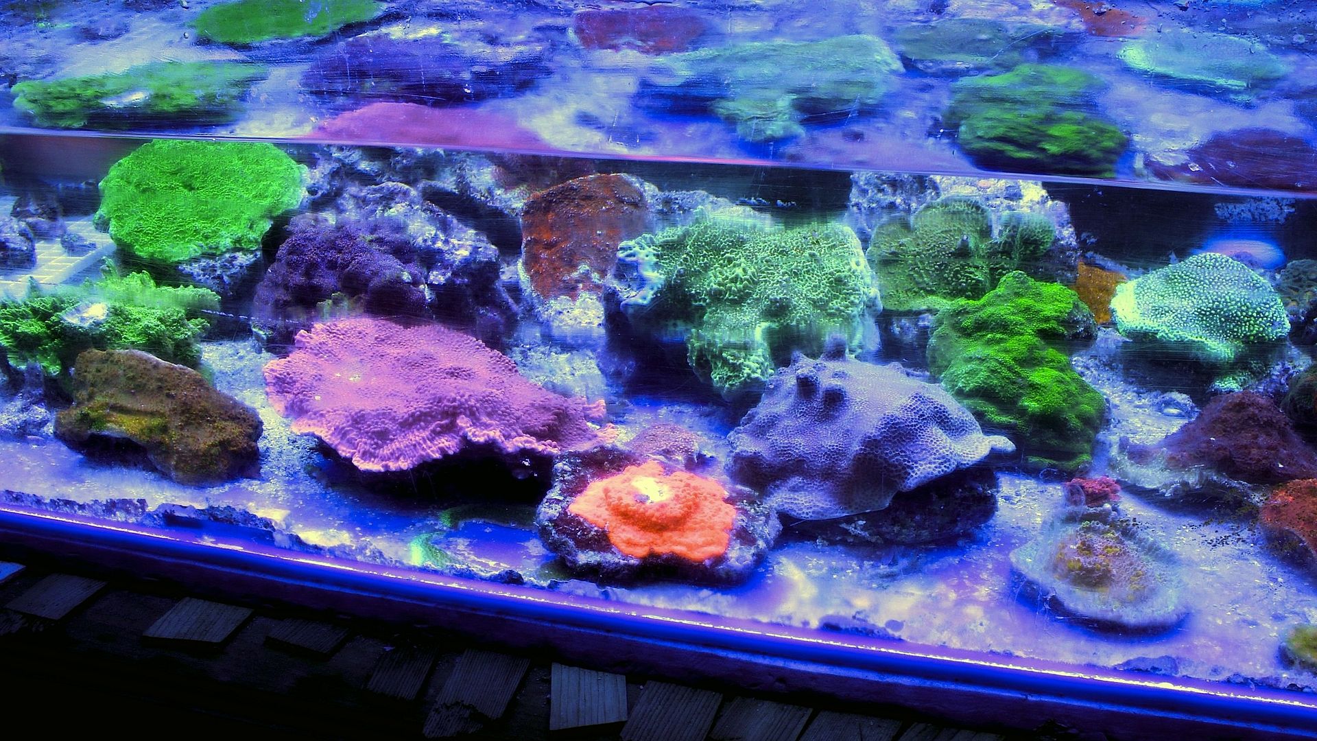 The (Almost) "Full Monti": A biased and overly-opinionated look at the ...